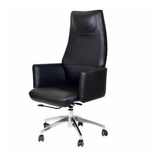 Shop Premium CEO Chairs Online | Imported Luxury for Lahore and Karachi ...